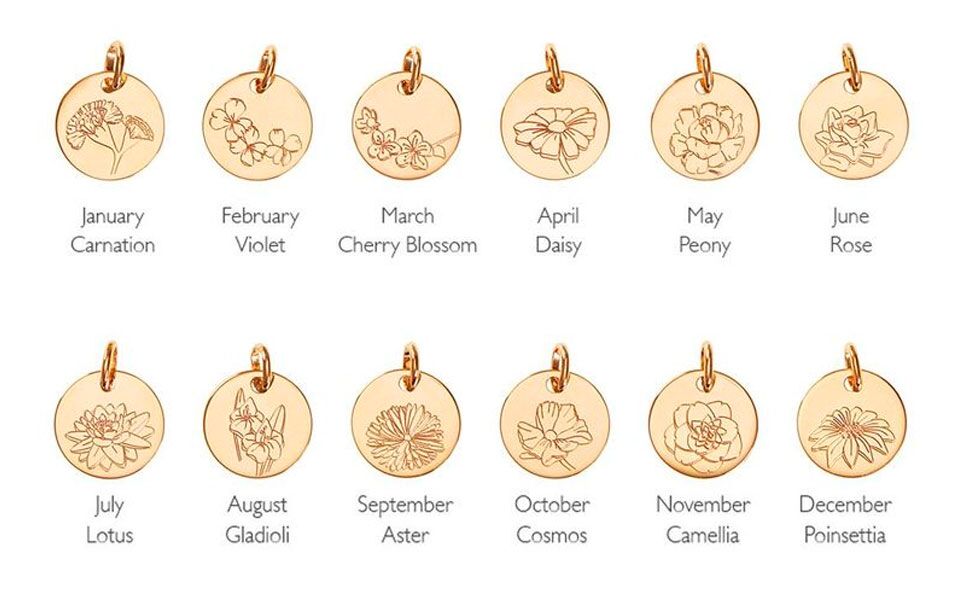 Sorted Out: Birth Flowers by Month, Zodiac, and Meaning | Tulipiece